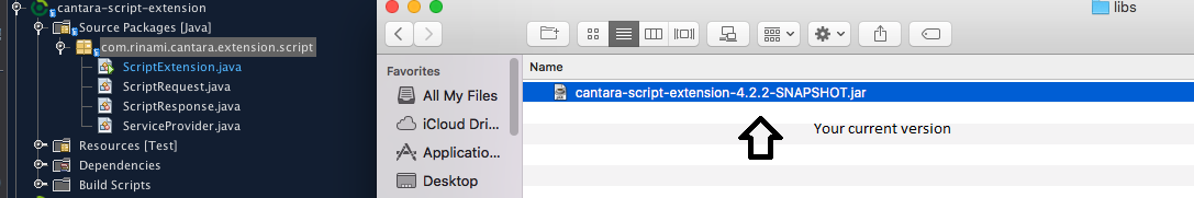 Adding a Dynamic Extension